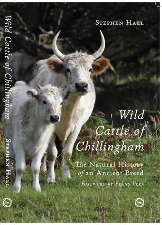 Wild Cattle of Chillingham – The Natural History of an Ancient Breed ...
